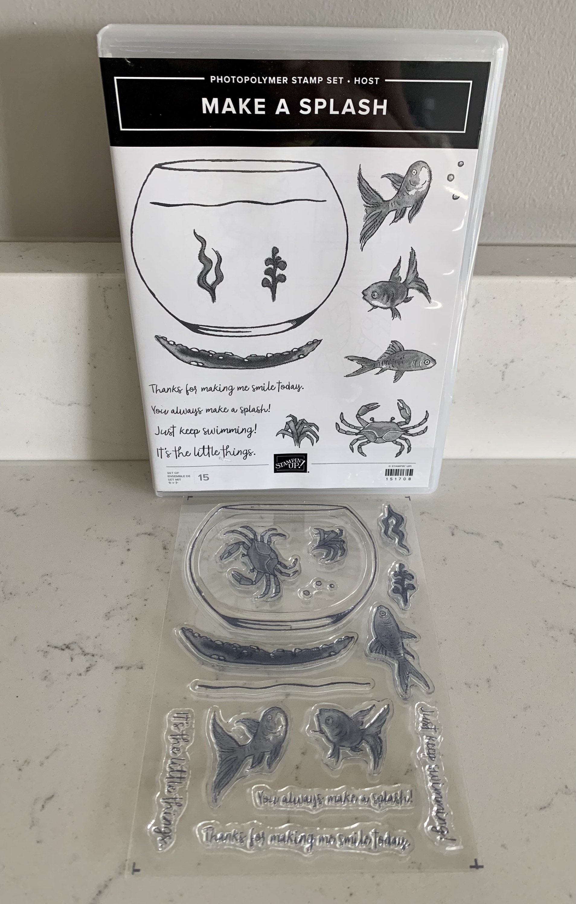 Make A Splash Photopolymer Stamp Set AND Dandy Designs DSP Sampler ...