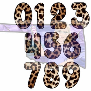 Cheetah Alphabet PNG - JPG Bundle - Complete Set Plus Symbols and ...