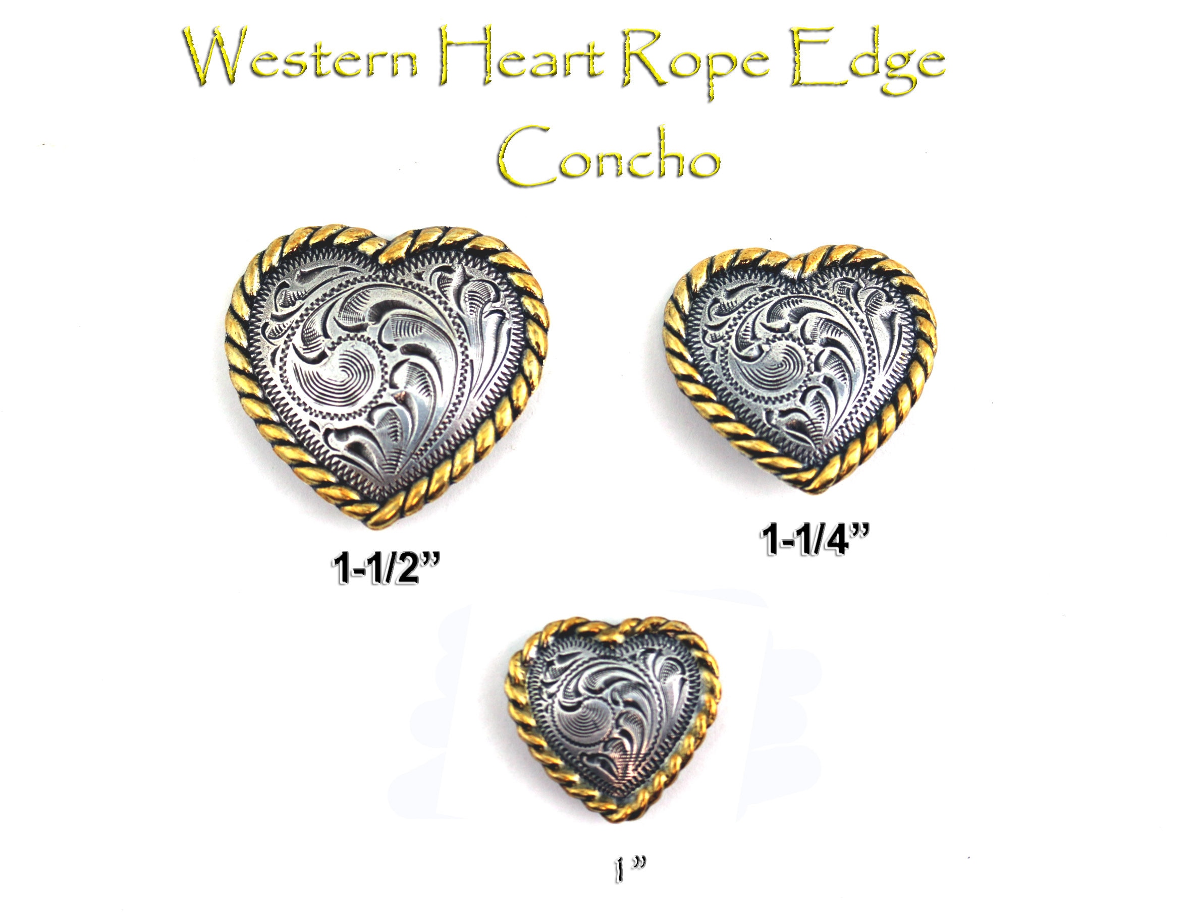 6 PCS Western Heart Rope Edge Antique Silver and Gold Screwback Concho ...