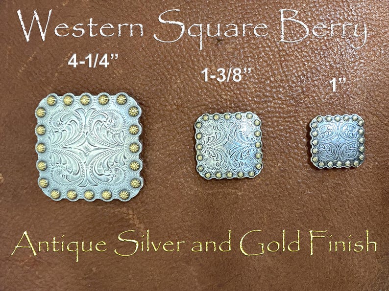 6 PCS Western Floral Screw-back Concho Series: Antique Silver & Gold ...