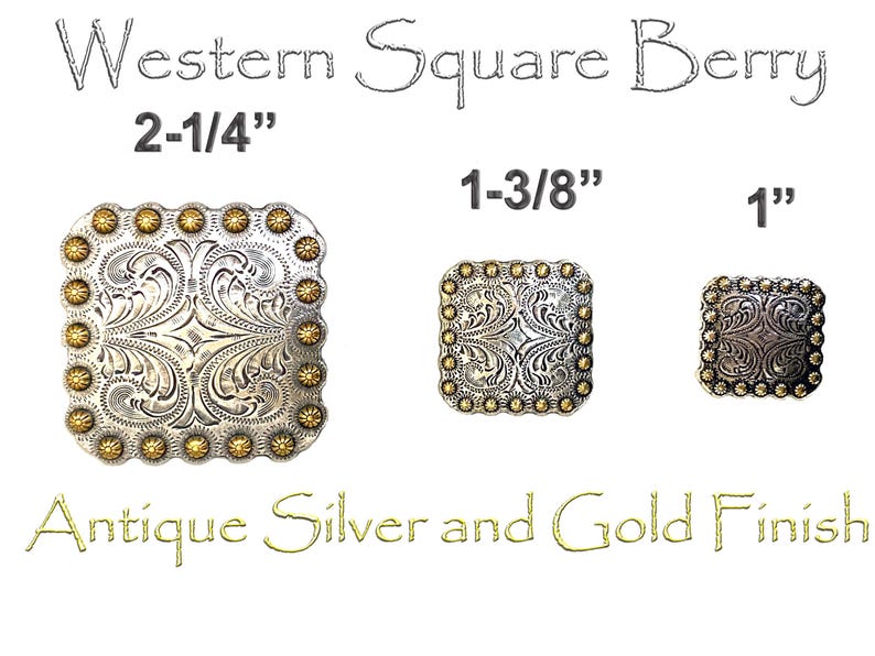 6 PCS Western Floral Screw-back Concho Series: Antique Silver & Gold ...