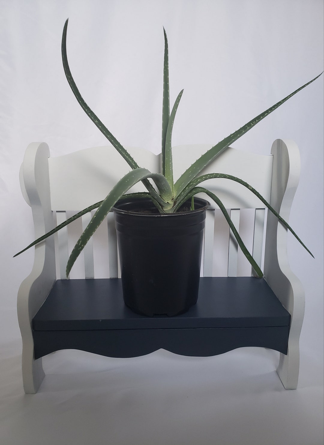 Plant Bench Stand Wooden Home Decor Housewarming Gift for Her - Etsy