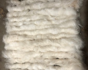 Angora Rabbit | Etsy