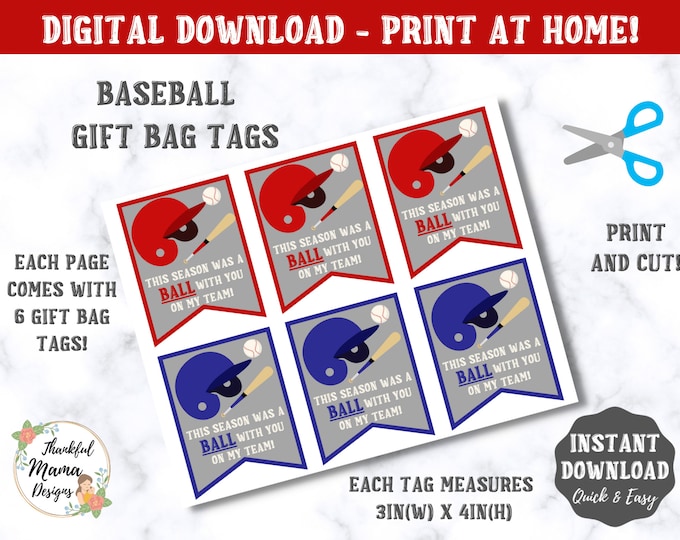 Baseball Team Gift Printable Tags - Etsy Canada