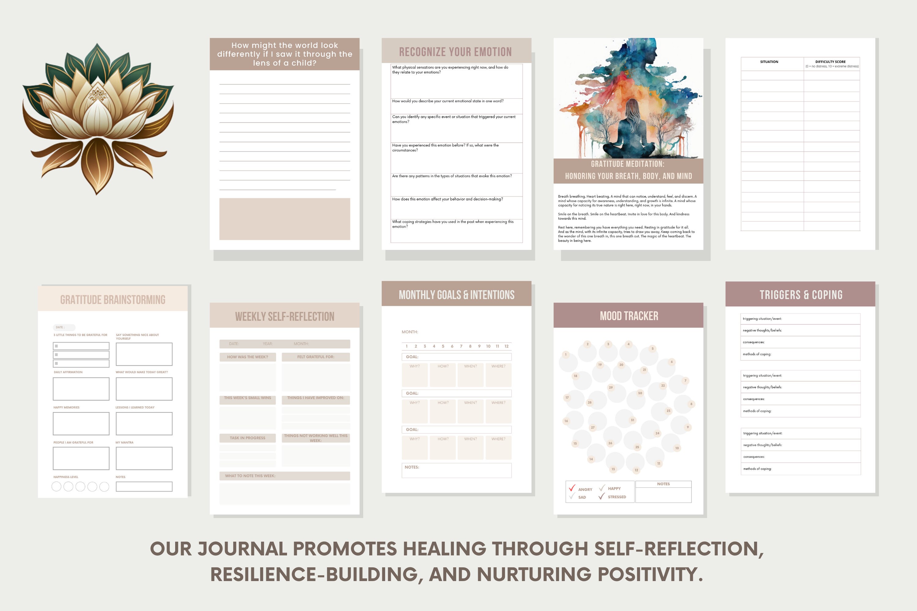 Abuse Survivor Workbook: Narc-free Emotional Healing. I Survived Abuse ...