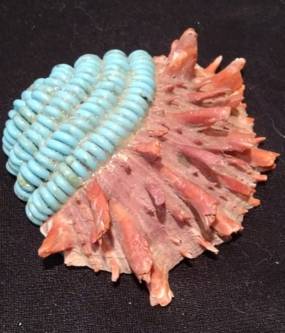 Santo Domingo Shell Pendant - Etsy