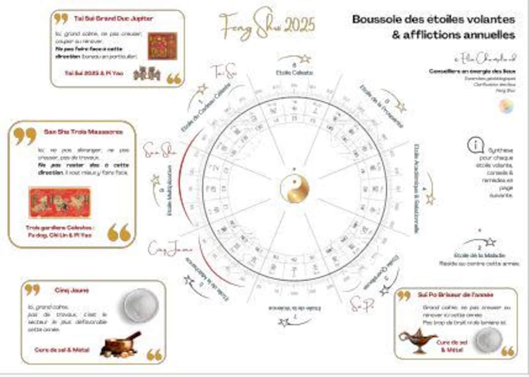 FENG SHUI 2025 Printable Flying Stars and Annual Afflictions Synthesis ...