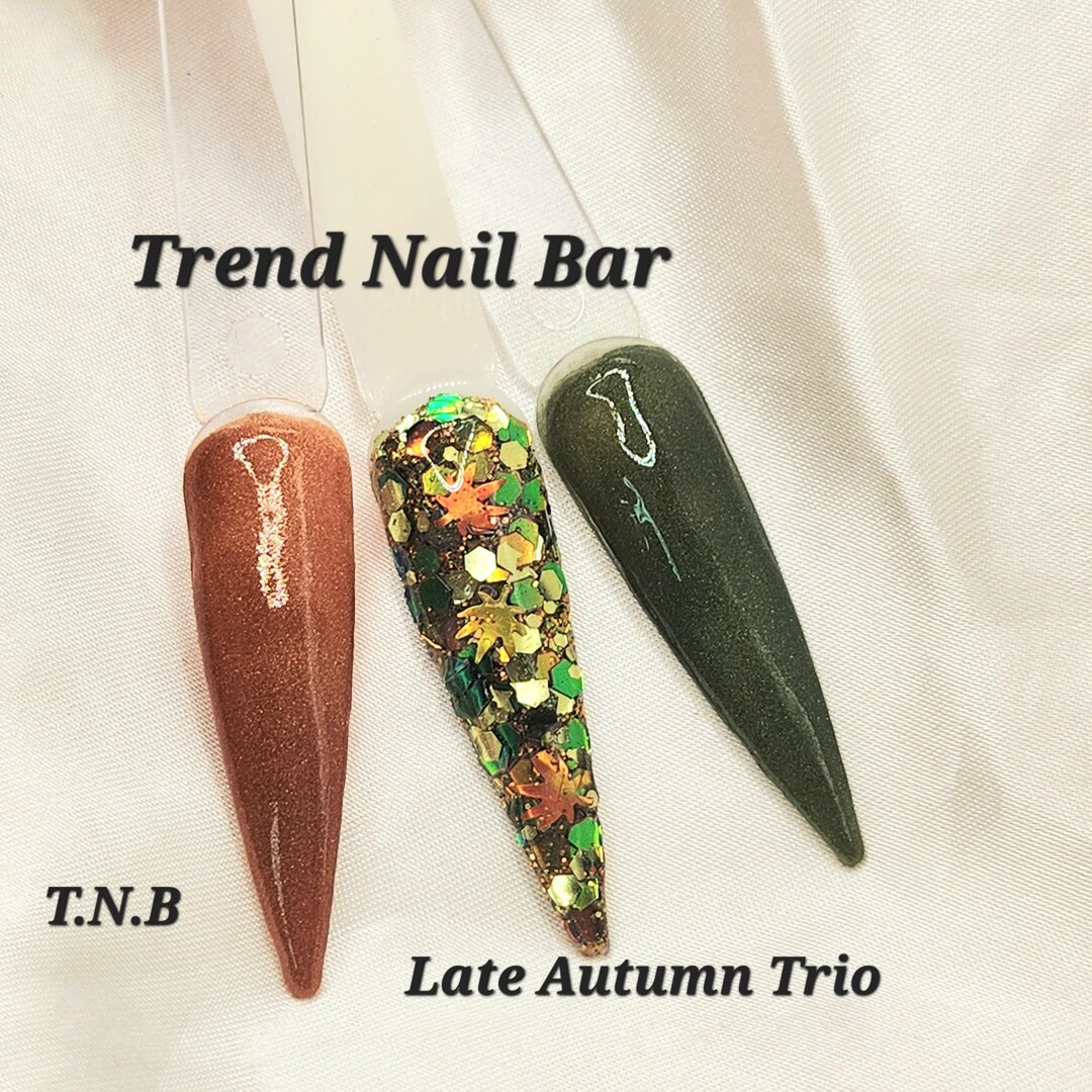 Late Autumn: Glitter Acrylic Dip Powder Trio - Etsy