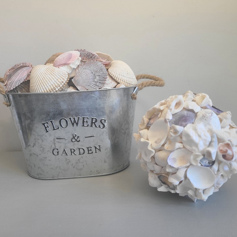 Oyster Shell Ball - Etsy