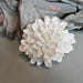 Barnacle Shell Flowers - Etsy