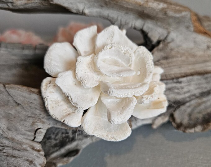 Barnacle Shell Flowers - Etsy