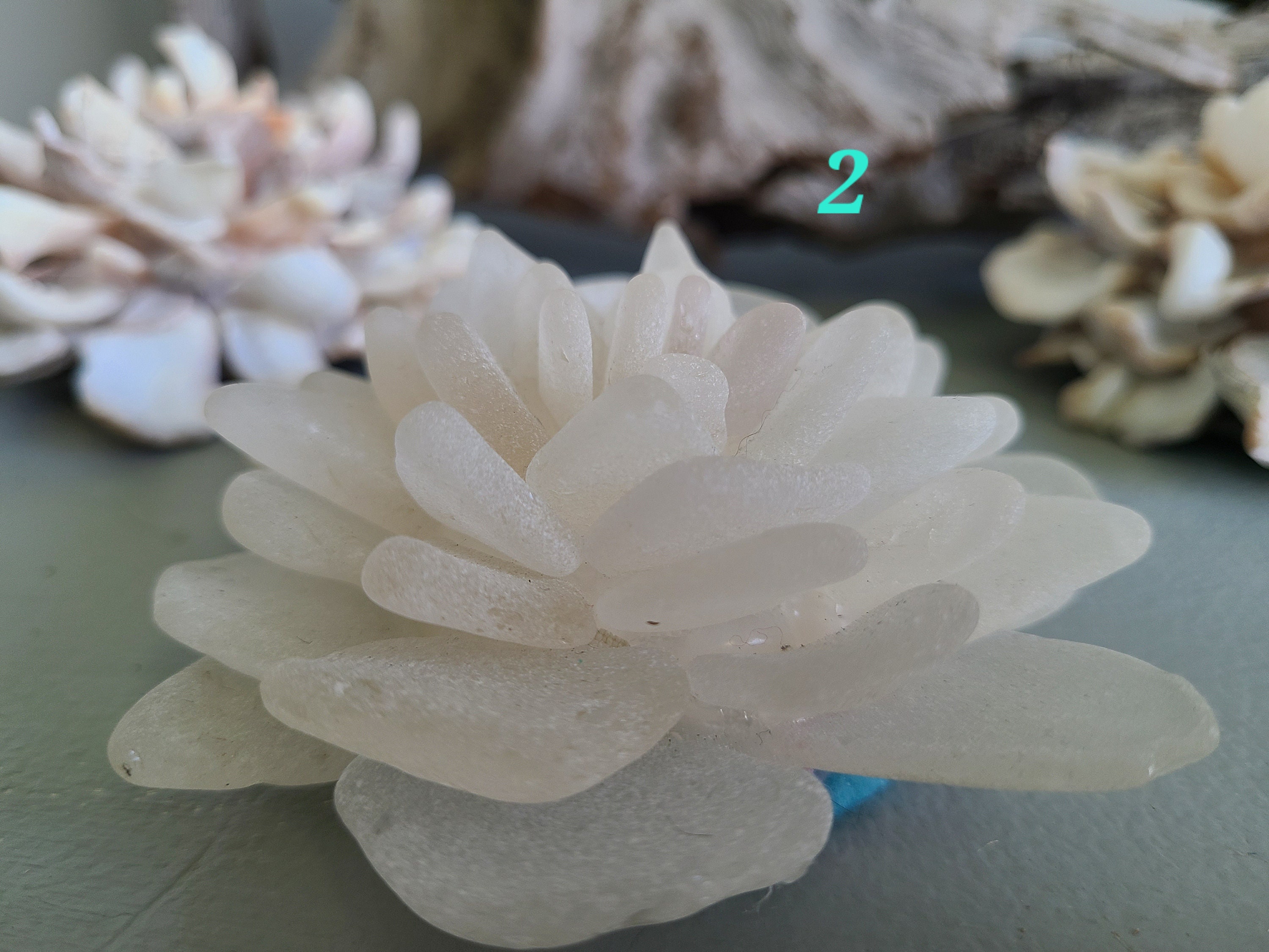 Sea Snail Shell and Sea Glass Flowers Individually Priced - Etsy