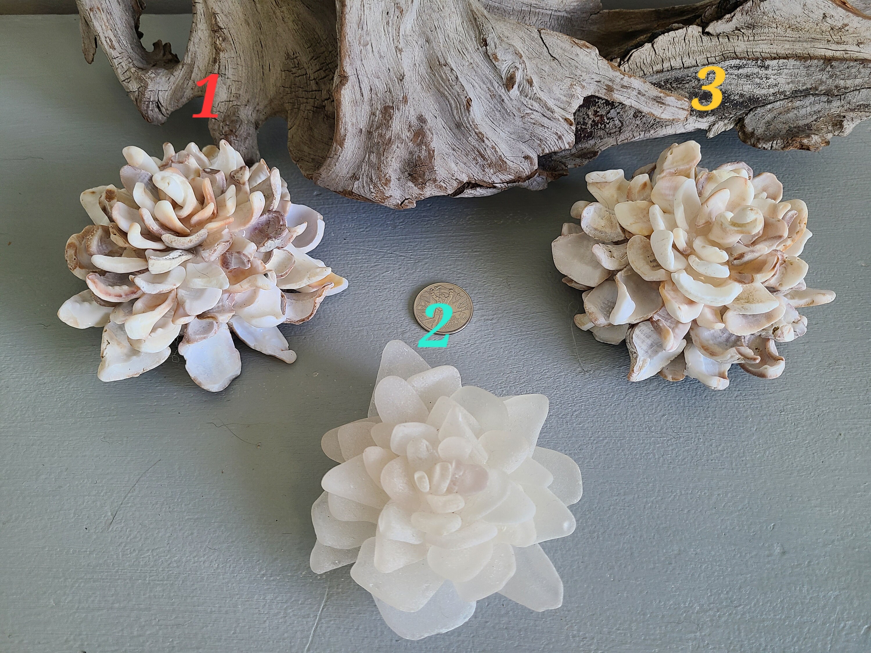 Sea Snail Shell and Sea Glass Flowers Individually Priced - Etsy