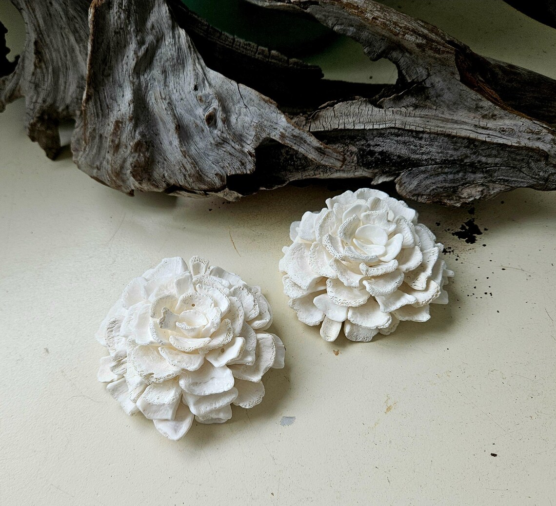 Barnacle Shell Flowers - Etsy