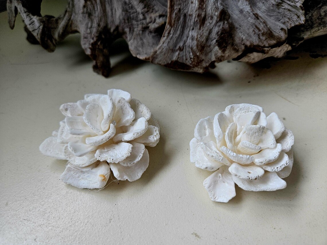 Barnacle Shell Flowers - Etsy