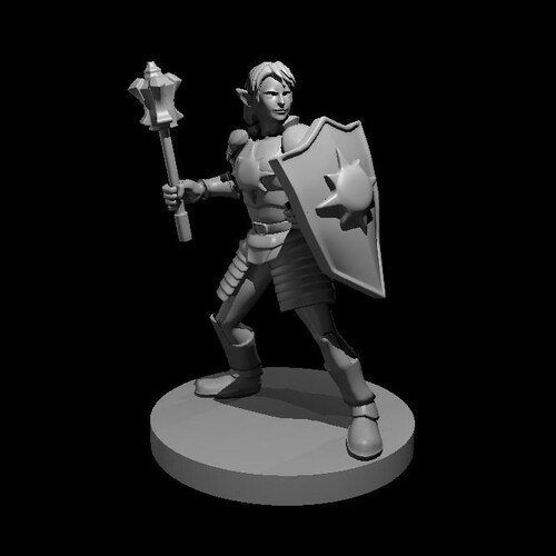 Female Cleric / Healer Miniature for Dungeons & Dragons - Etsy