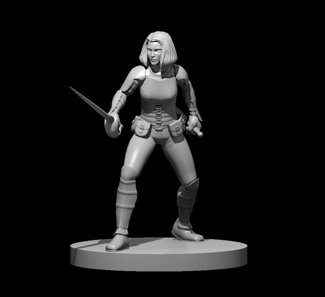 Female Rogue Swashbuckler Miniature - Etsy