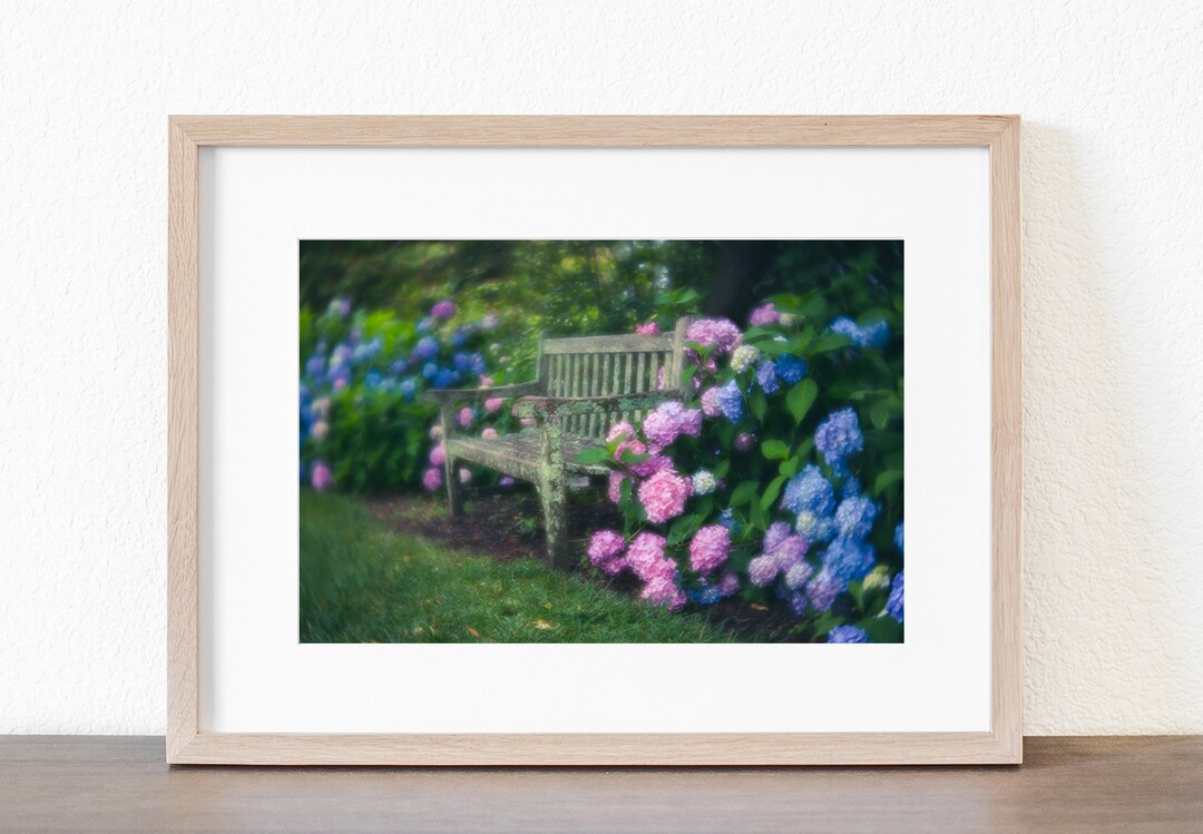 Hydrangea Flower Blooms Nature Wall Art Prints English - Etsy