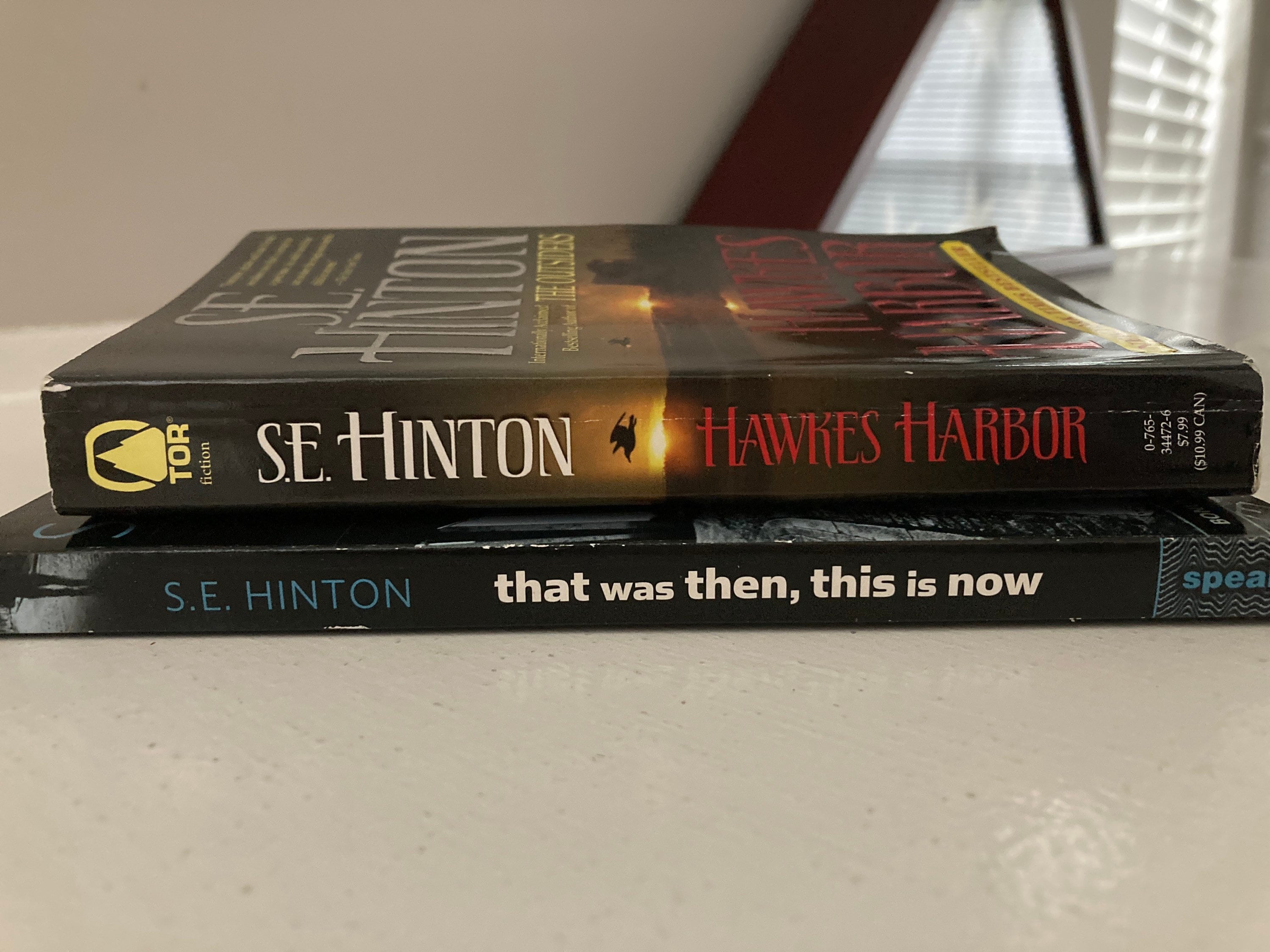 That Was Then This Is Now Book Cover
