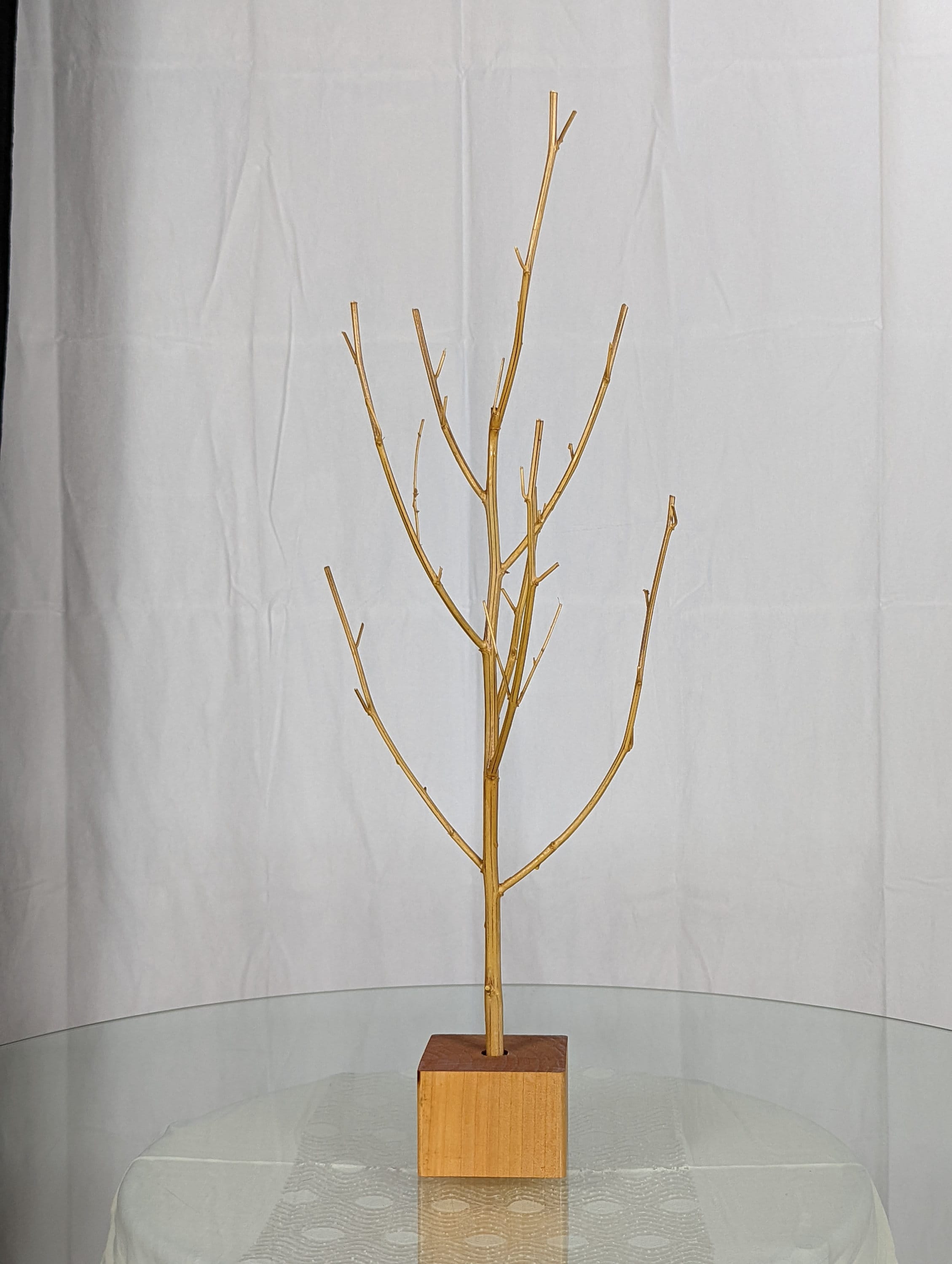 24 Display Tree for Gemstones/crystals/jewelry, Made From a Real ...