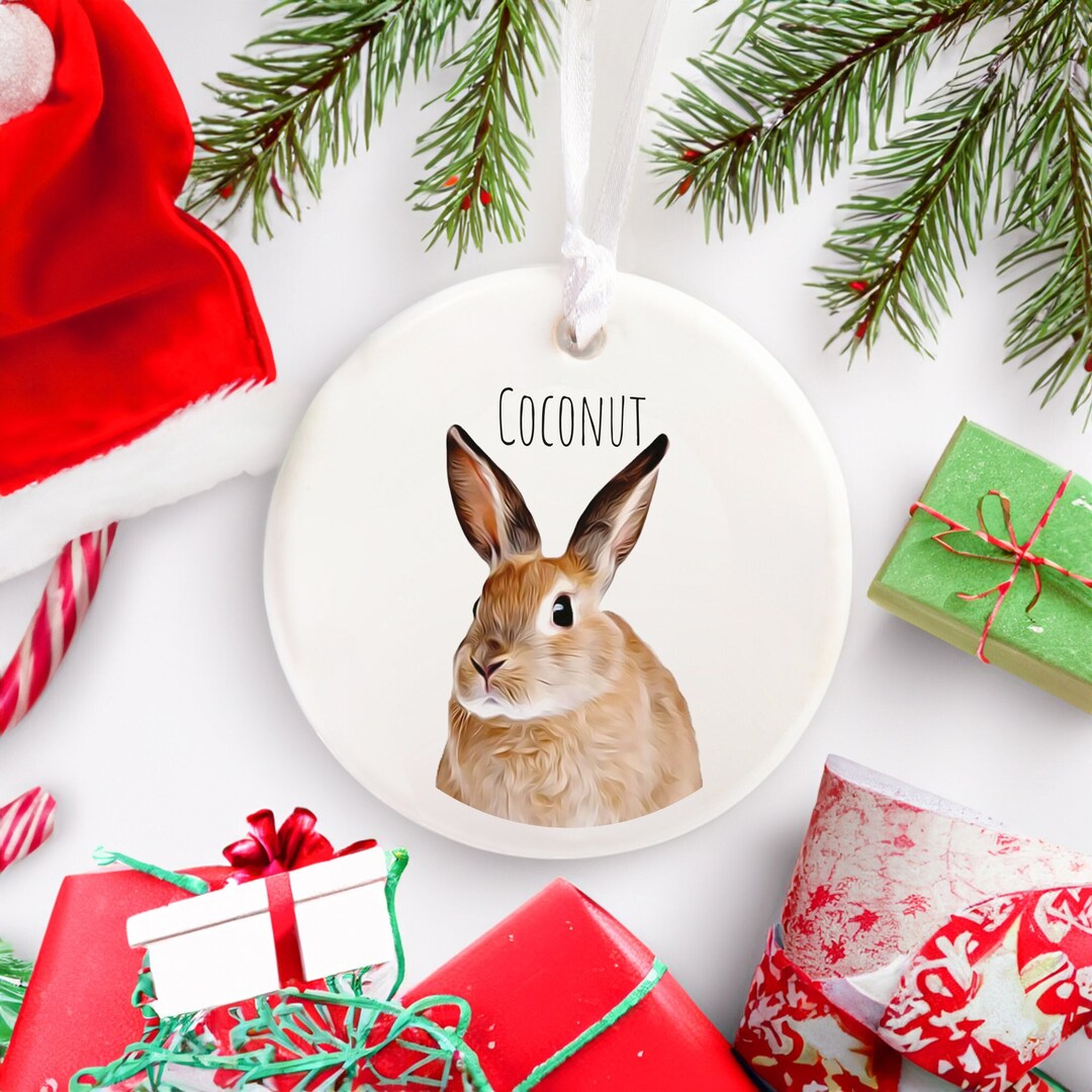Cute Bunny Ornament, Calico Siamese Cat Horse Capybara Hamster Photo ...