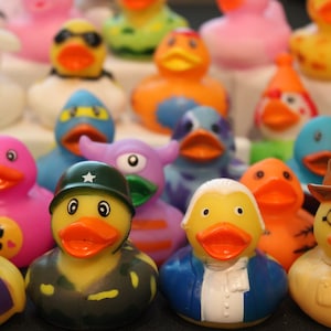 Bulk Assorted Rubber Ducks - Perfect for Ducking Adventures and Duck ...