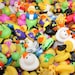 Bulk Assorted Rubber Ducks - Perfect for Ducking Adventures and Duck ...