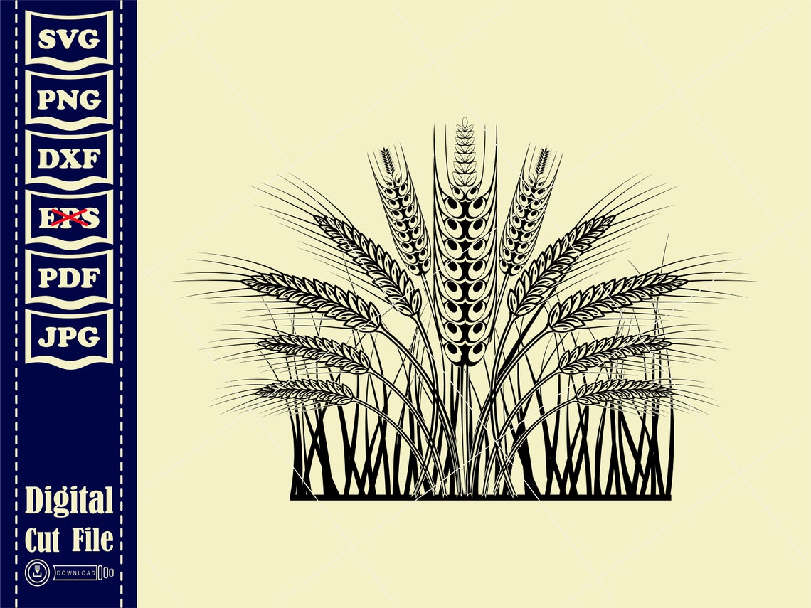 Wheat SVG Bundle Wheat Svg Grain Svg Wheat Clipart Wheat | Etsy