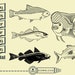 Fish SVG Bundle Fish SVG Fish Clipart Fish Cut Files for - Etsy Canada