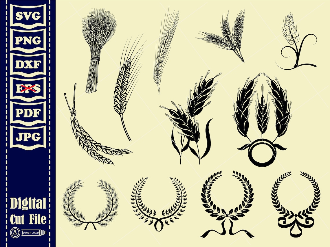 Wheat SVG Bundle Wheat Svg Grain Svg Wheat Clipart Wheat | Etsy