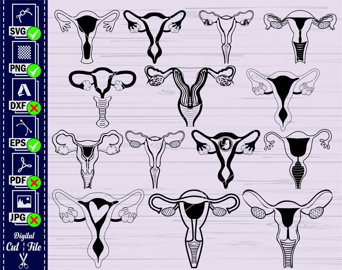 Floral Uterus SVG Pro Roe SVG Uterus mit Blumen Svg - Etsy Schweiz