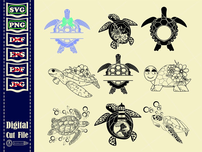 Turtle SVG Bundle Floral Turtle Svg Sea Turtle Frames SVG - Etsy