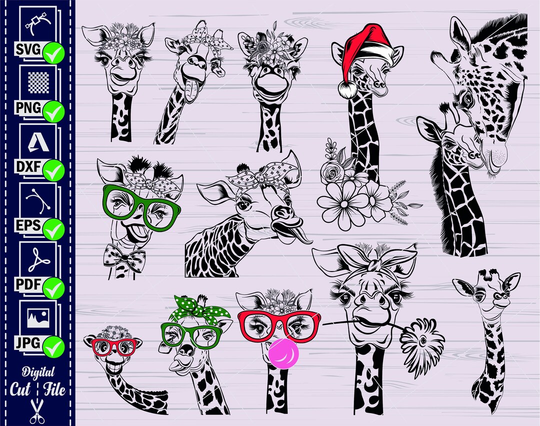 Giraffe SVG Cut File #1, Flowers, Bandana, Funny Giraffes With Glasses ...