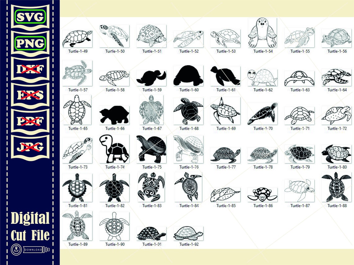Turtle SVG Bundle Floral Turtle Svg Sea Turtle Frames SVG - Etsy