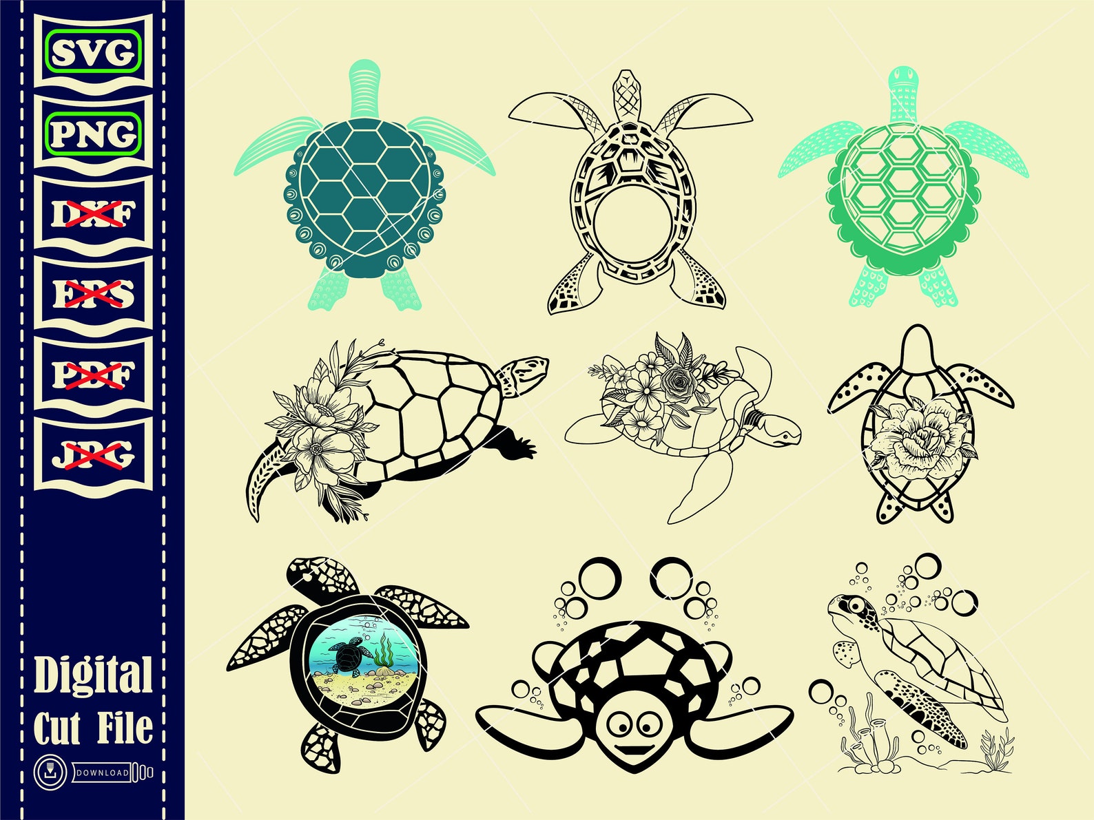 Turtle SVG Bundle Floral Turtle Svg Sea Turtle Frames SVG - Etsy