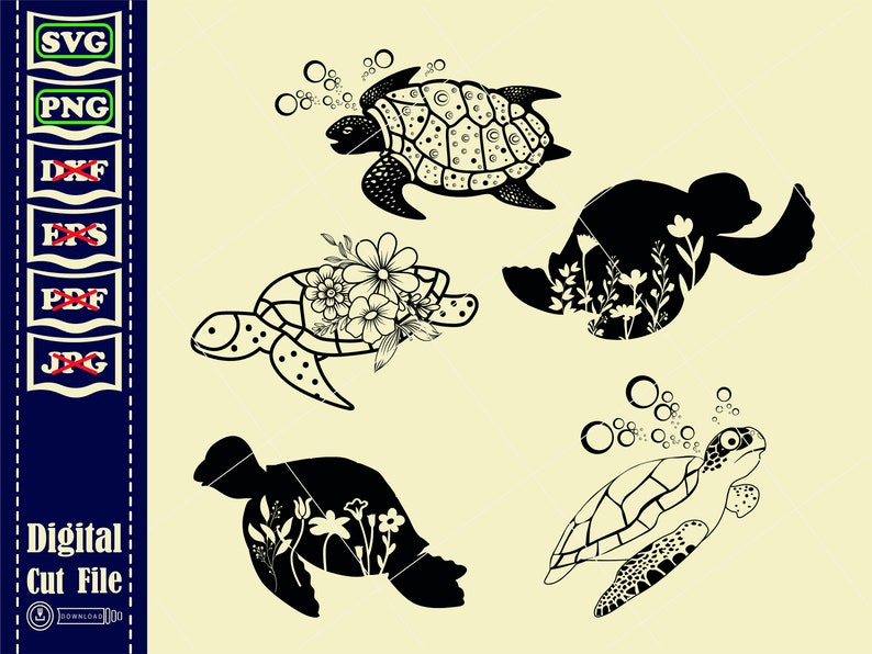 Turtle SVG Bundle Floral Turtle Svg Sea Turtle Frames SVG - Etsy
