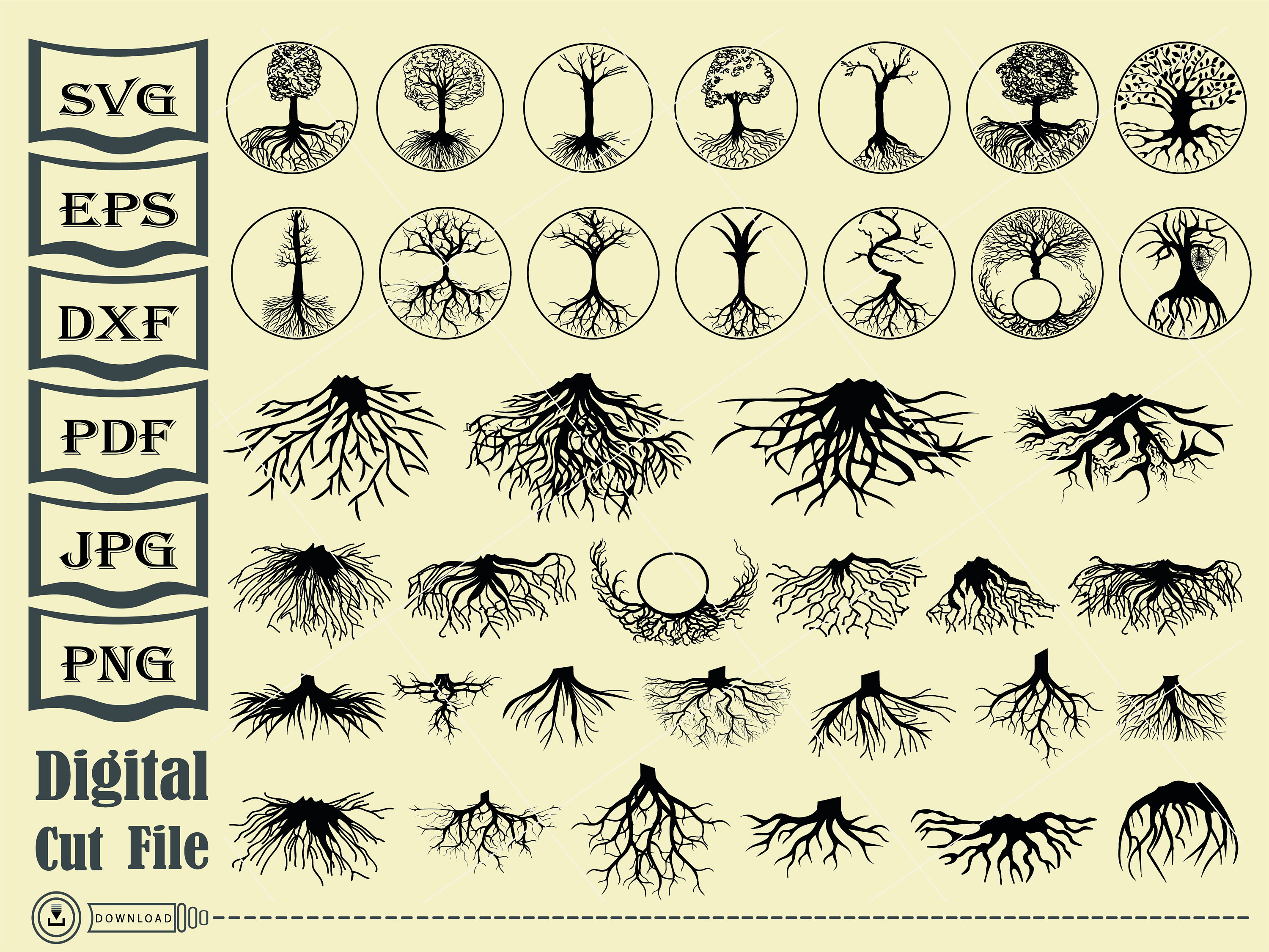 Tree Roots Vector Png