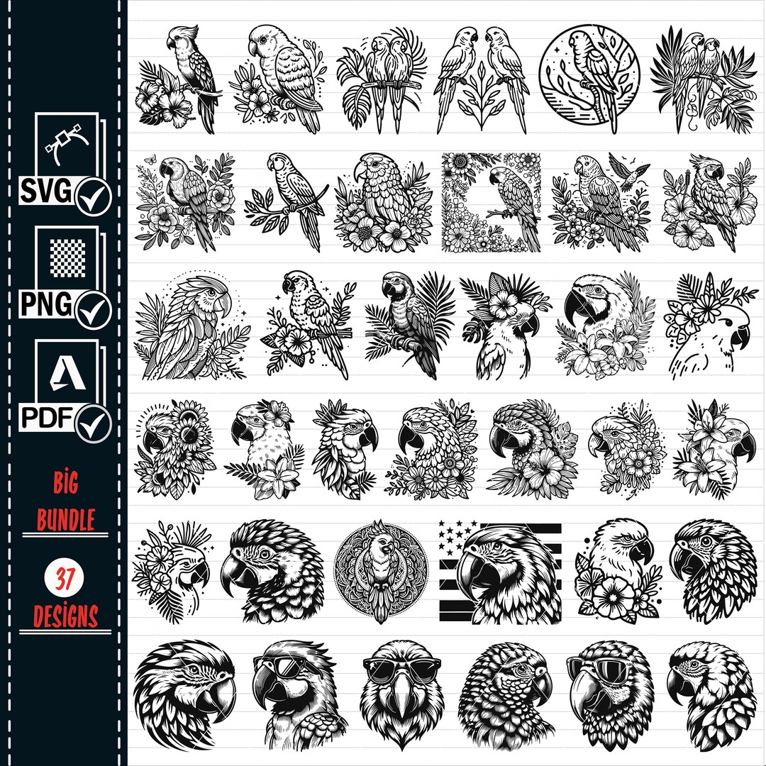 PARROT SVG Png Big Bundle, Floral Parrot Svg, Parrot Clipart, Parrot ...