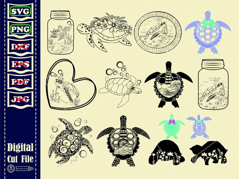Turtle SVG Bundle Floral Turtle Svg Sea Turtle Frames SVG - Etsy