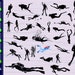 Scuba Diving SVG Files, Cut File, Water Sport Svg, Diver Svg, Diving ...