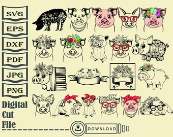 Pig With Glasses Svg - Etsy