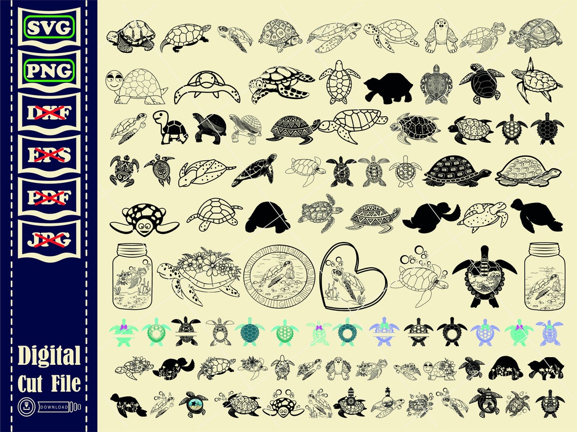 Turtle SVG Bundle Floral Turtle Svg Sea Turtle Frames SVG - Etsy