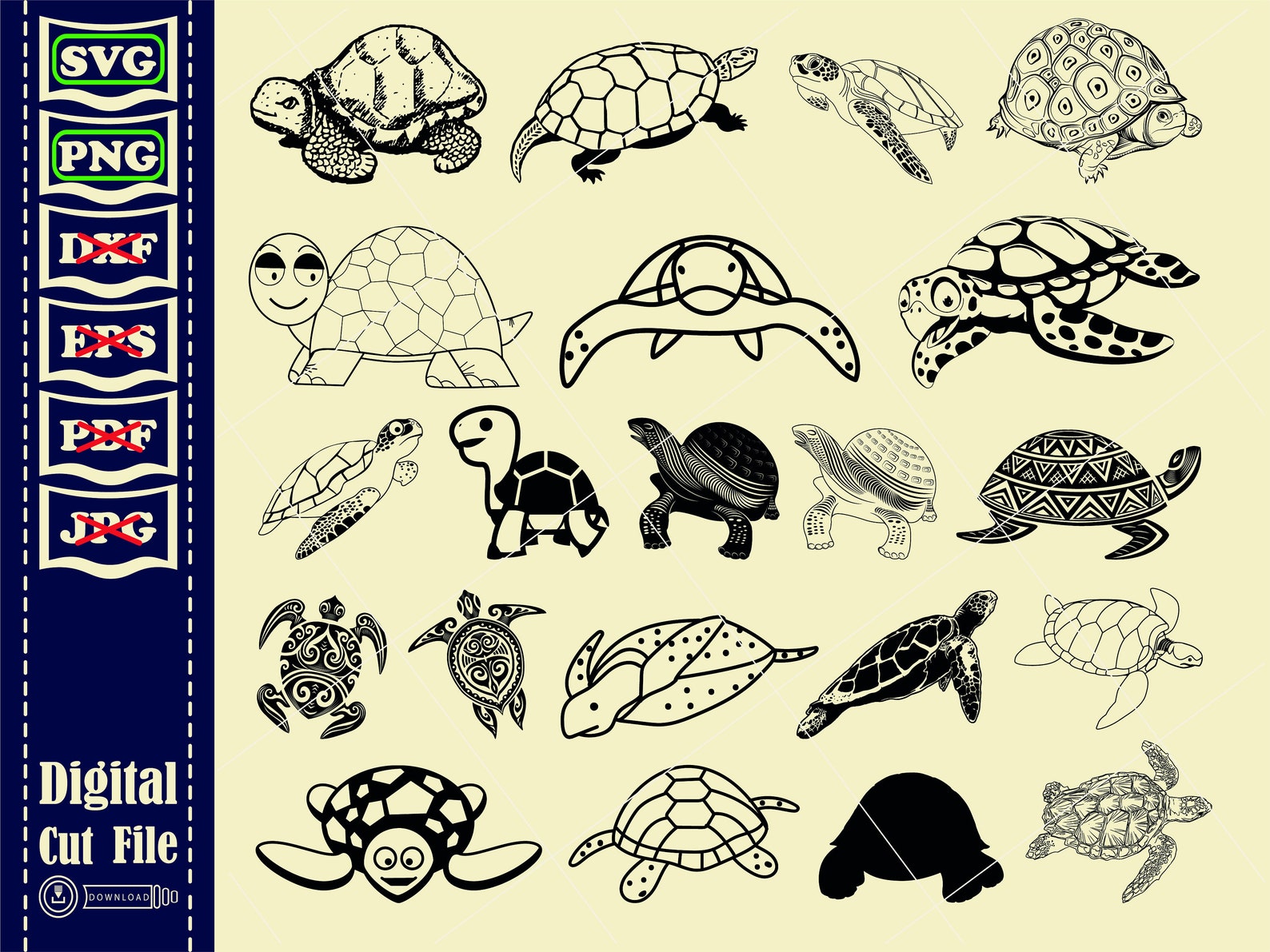 Turtle SVG Bundle Floral Turtle Svg Sea Turtle Frames SVG - Etsy