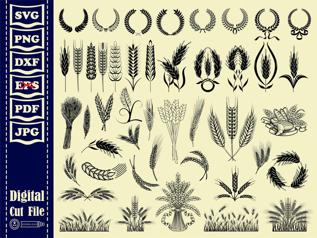 Wheat SVG Bundle, Wheat Svg, Grain Svg, Wheat Clipart, Wheat Files for ...