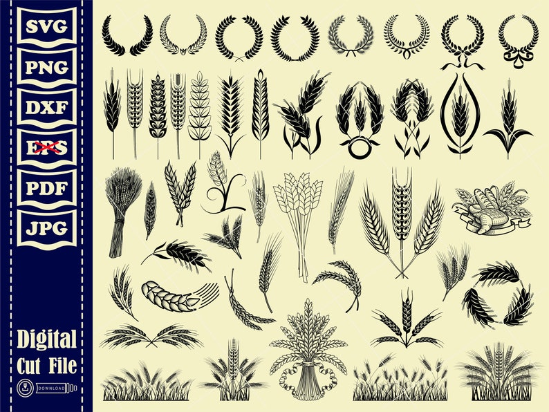 Wheat SVG Bundle Wheat Svg Grain Svg Wheat Clipart Wheat | Etsy