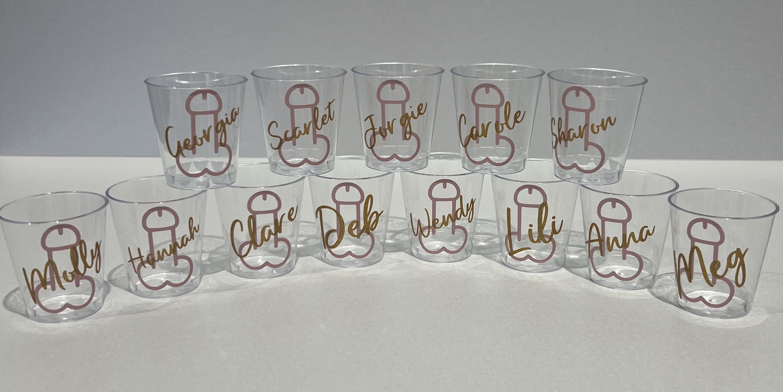 Personalised Willy Hen Do Plastic Shot Glasses Hen Party Bride Tribe I ...