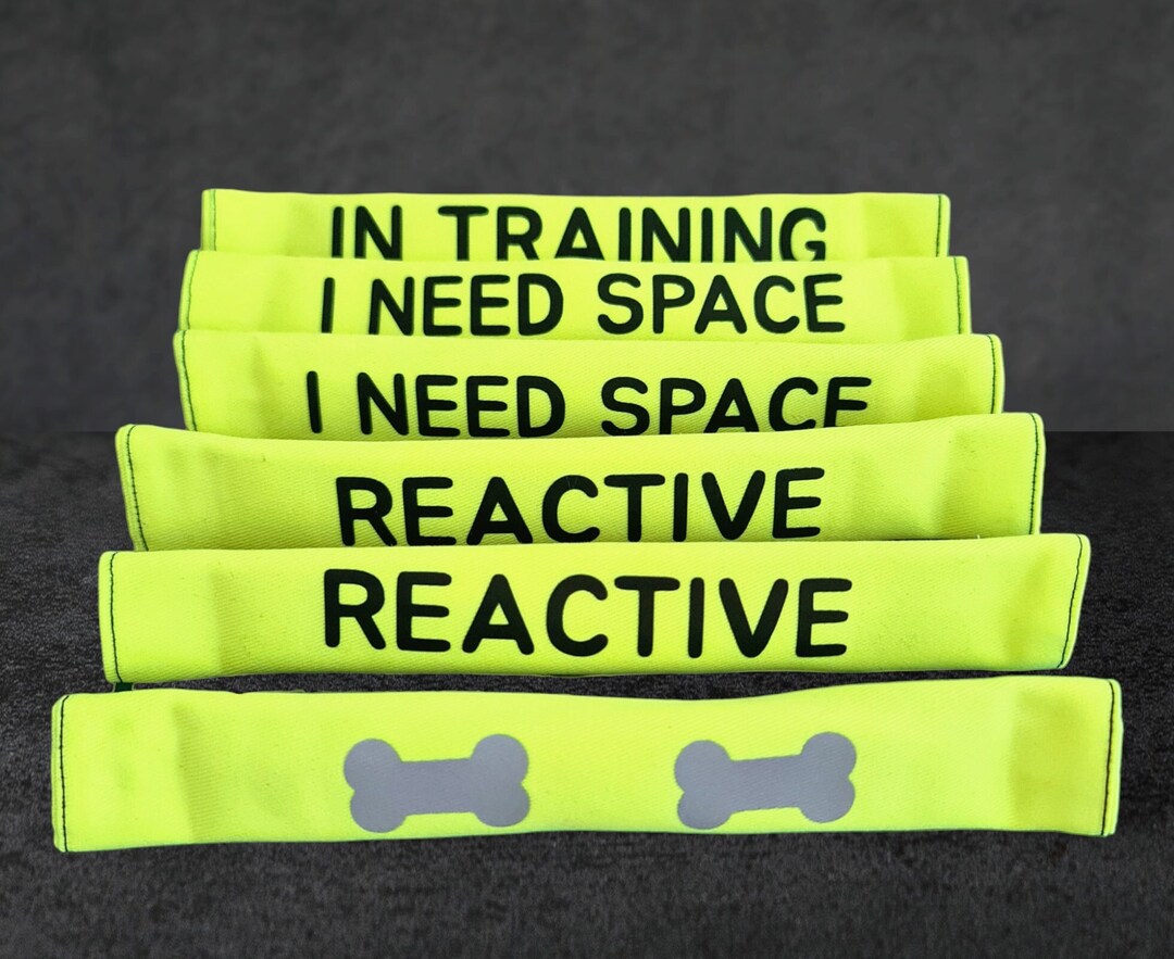 Personalised High Vis Lead Wrap, Dog Safety, High Vis Dog Lead Slip ...