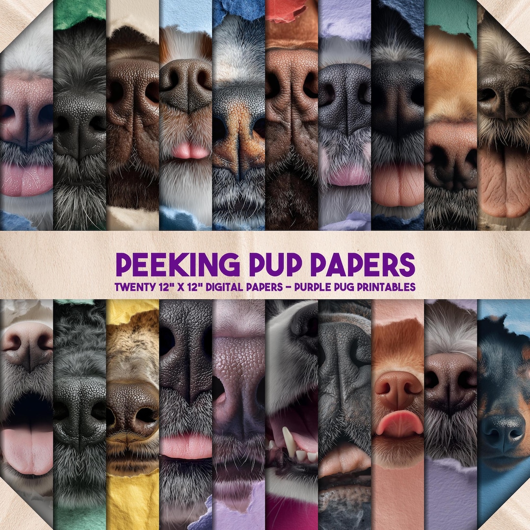 Peeking Pup Papers - Funny Dog Nose Papers, Snout Through Paper ...