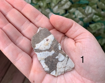 Rough Zebra Jasper | Etsy