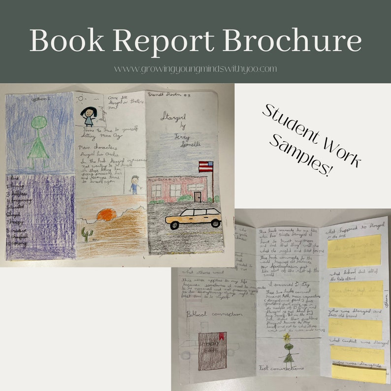 Book Report Brochure - Etsy